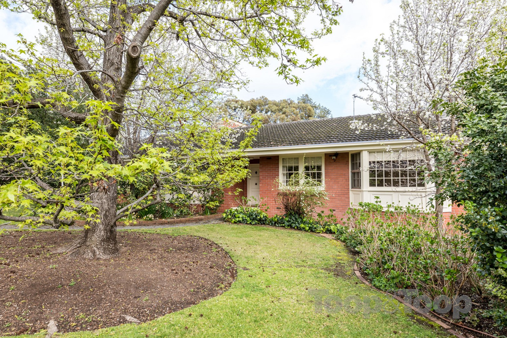 26 Nilpinna Street, Burnside SA 5066 - TOOP+TOOP