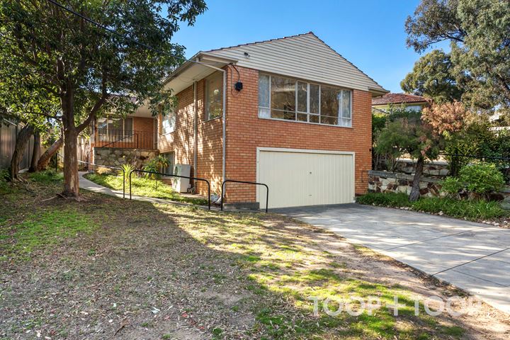 4 Sitters Memorial Drive, Burnside SA 5066 - TOOP+TOOP