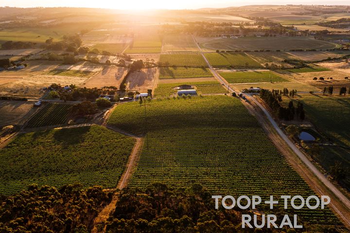 50 Roach Road, Stanley Flat SA 5453 - TOOP+TOOP