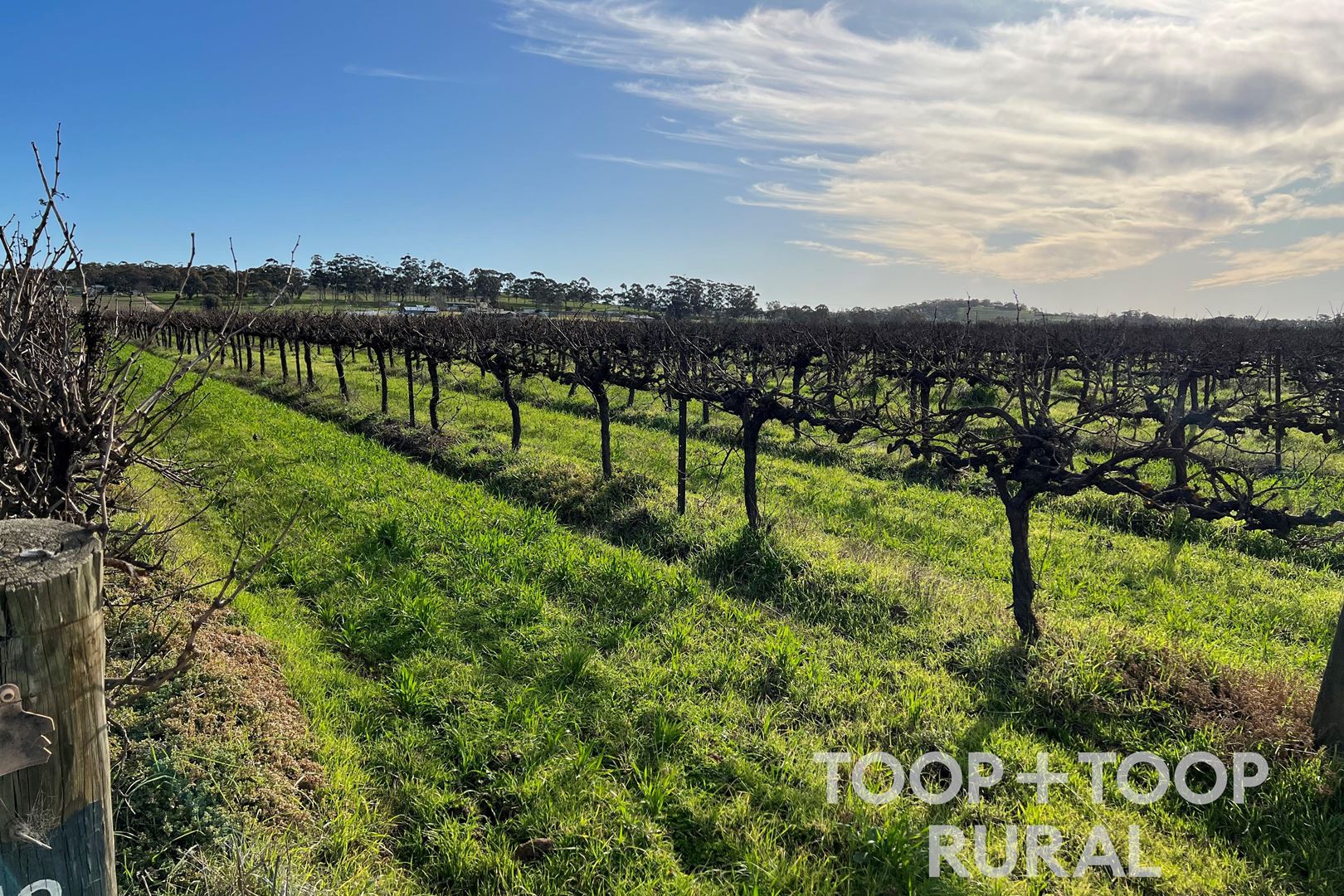 50 Roach Road, Stanley Flat SA 5453 - TOOP+TOOP