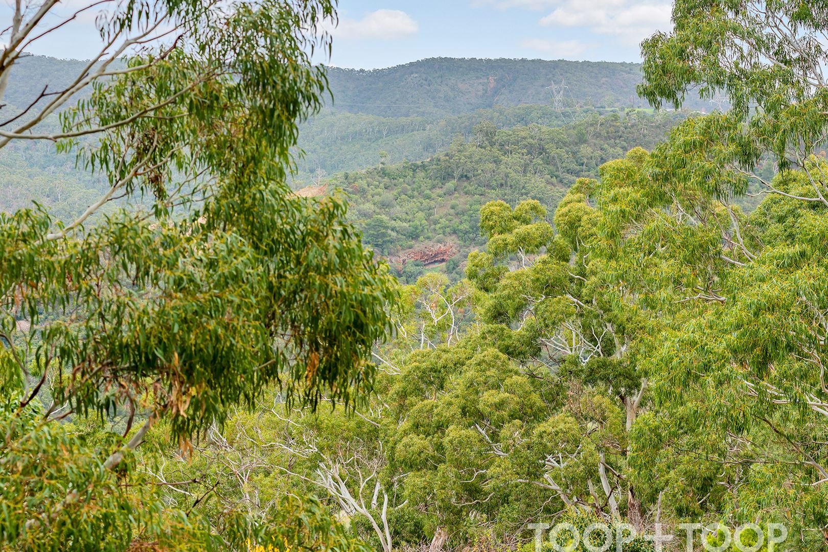 40 Teringie Drive, Teringie SA 5072 - TOOP+TOOP