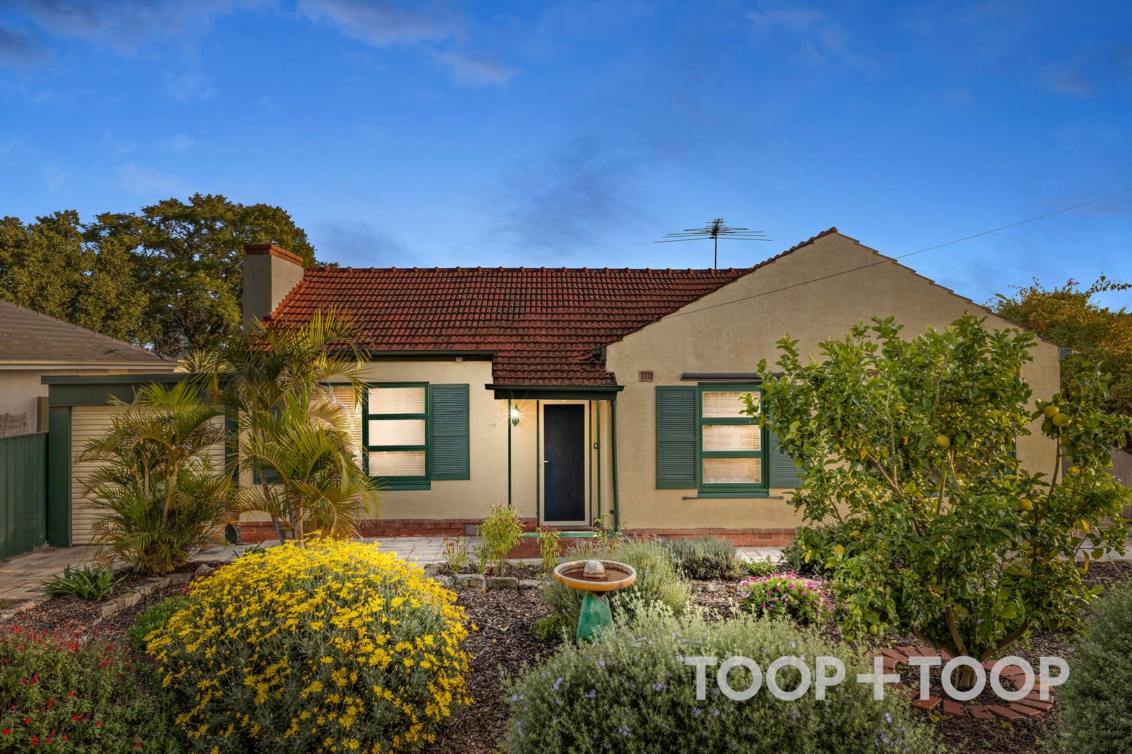 29 Jackson Terrace, Enfield SA 5085 - TOOP+TOOP