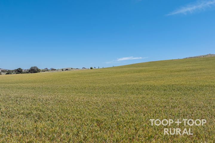 131 Berry Road, St Kitts SA 5356 - TOOP+TOOP
